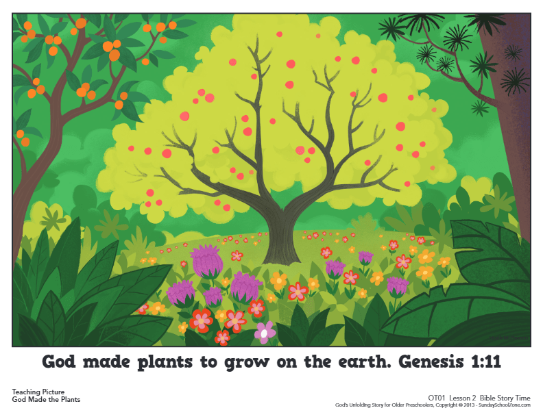 god-made-the-plants-teaching-picture-children-s-bible-activities